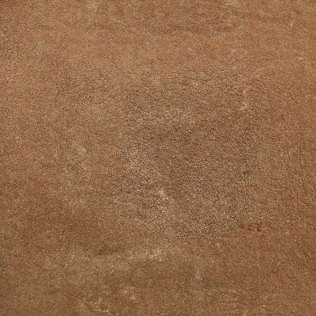 Dandelion Root (Roasted, Coffee Grind) | Forage & Faire