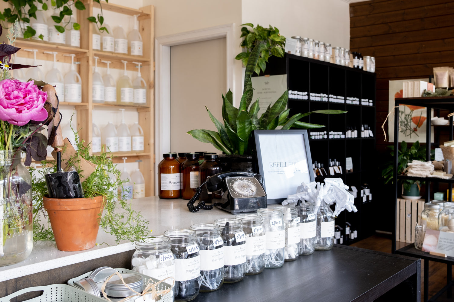 Forage & Faire | Herbal Medicine & Sustainable Living