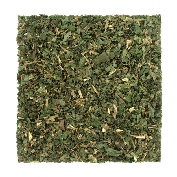 Pellitory of the Wall | Organic Herbal Apothecary | Forage & Faire