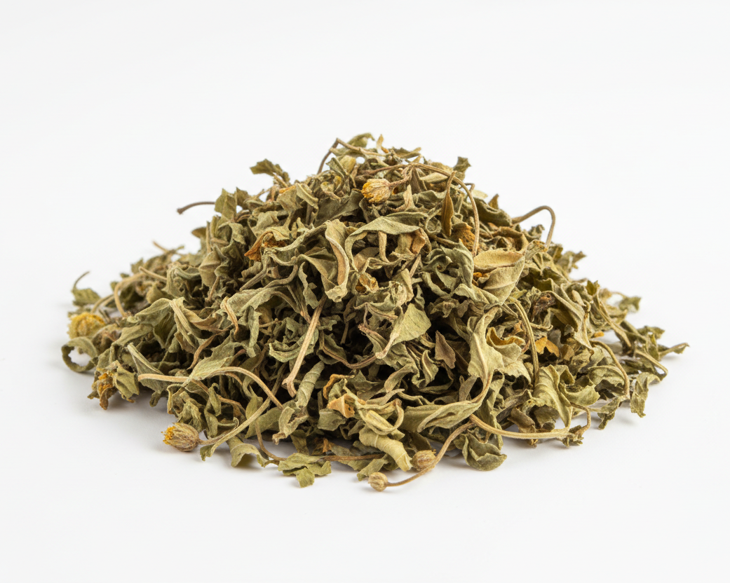 Pericon Leaf | Natural Herbal Apothecary | Forage & Faire